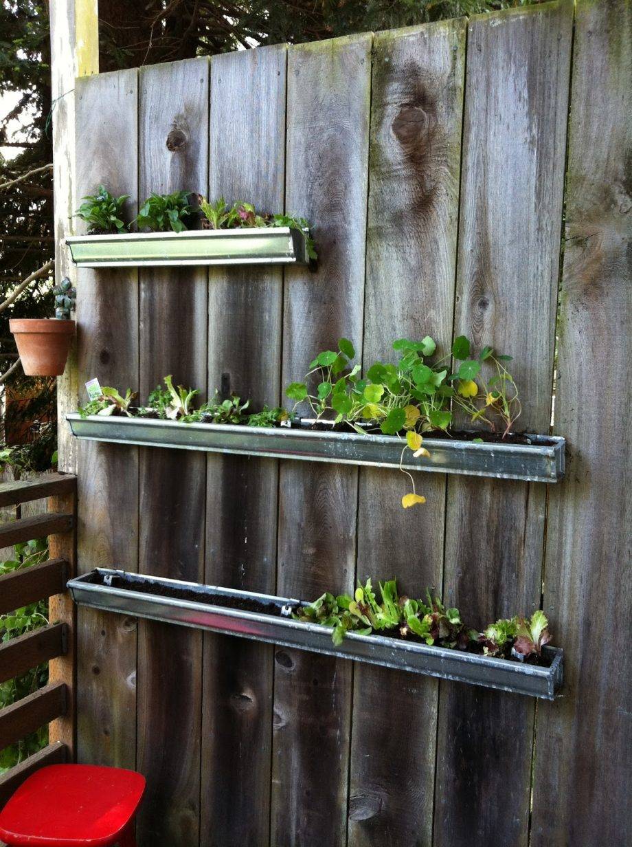21 Rain Gutter Garden On Fence Ideas You Should Check | SharonSable