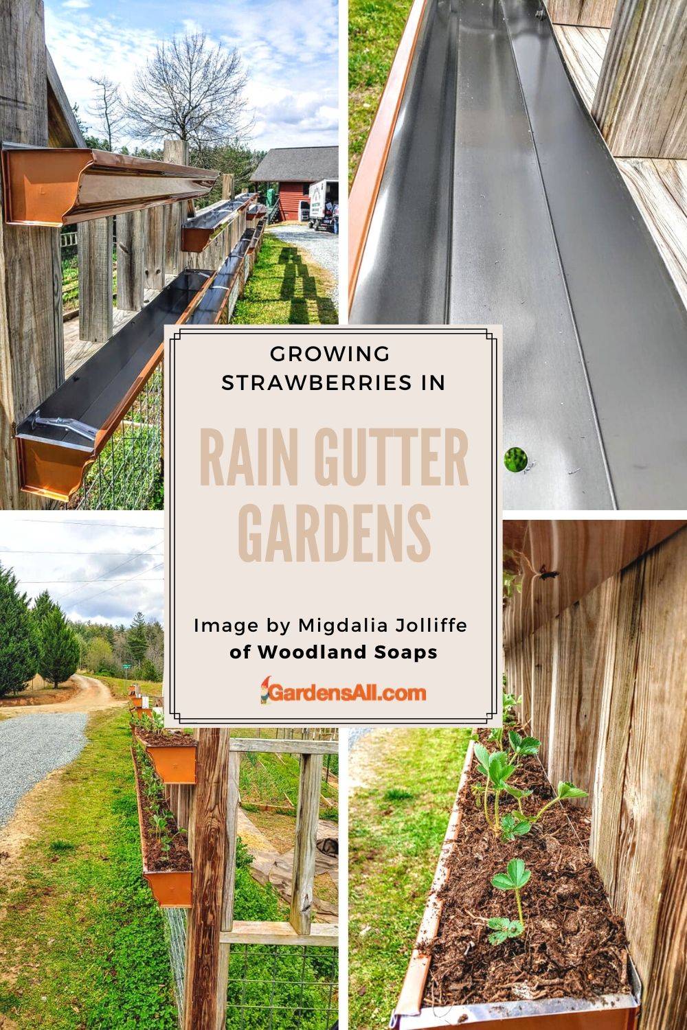 19 Rain Gutter Vertical Garden Ideas To Try This Year | SharonSable