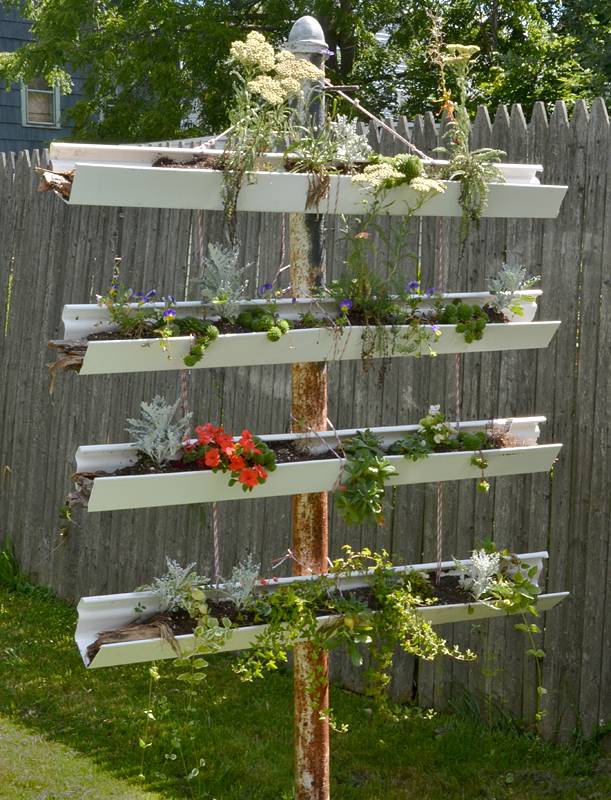 19 Rain Gutter Vertical Garden Ideas To Try This Year | SharonSable