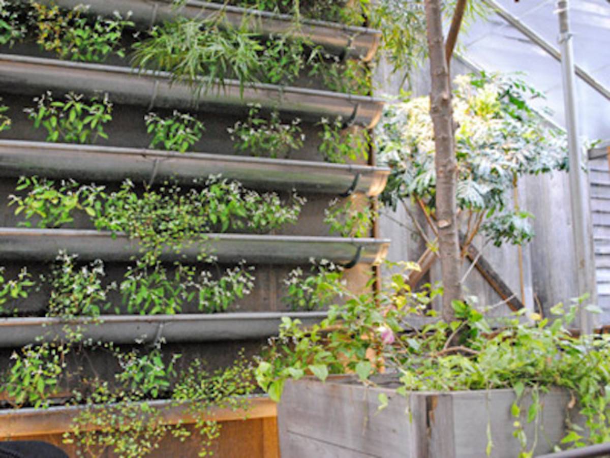 19 Rain Gutter Vertical Garden Ideas To Try This Year | SharonSable