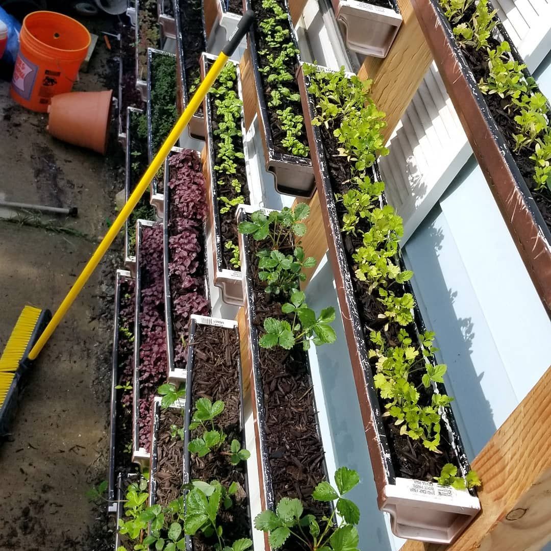 19 Rain Gutter Garden System Ideas To Consider | SharonSable