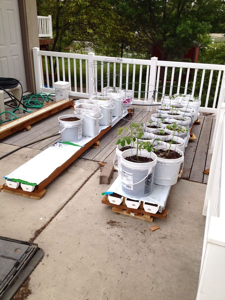 19 Rain Gutter Garden System Ideas To Consider | SharonSable