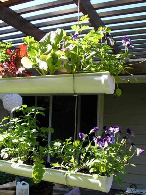 12 Hanging Gutter Garden Diagram Ideas You Cannot Miss | SharonSable
