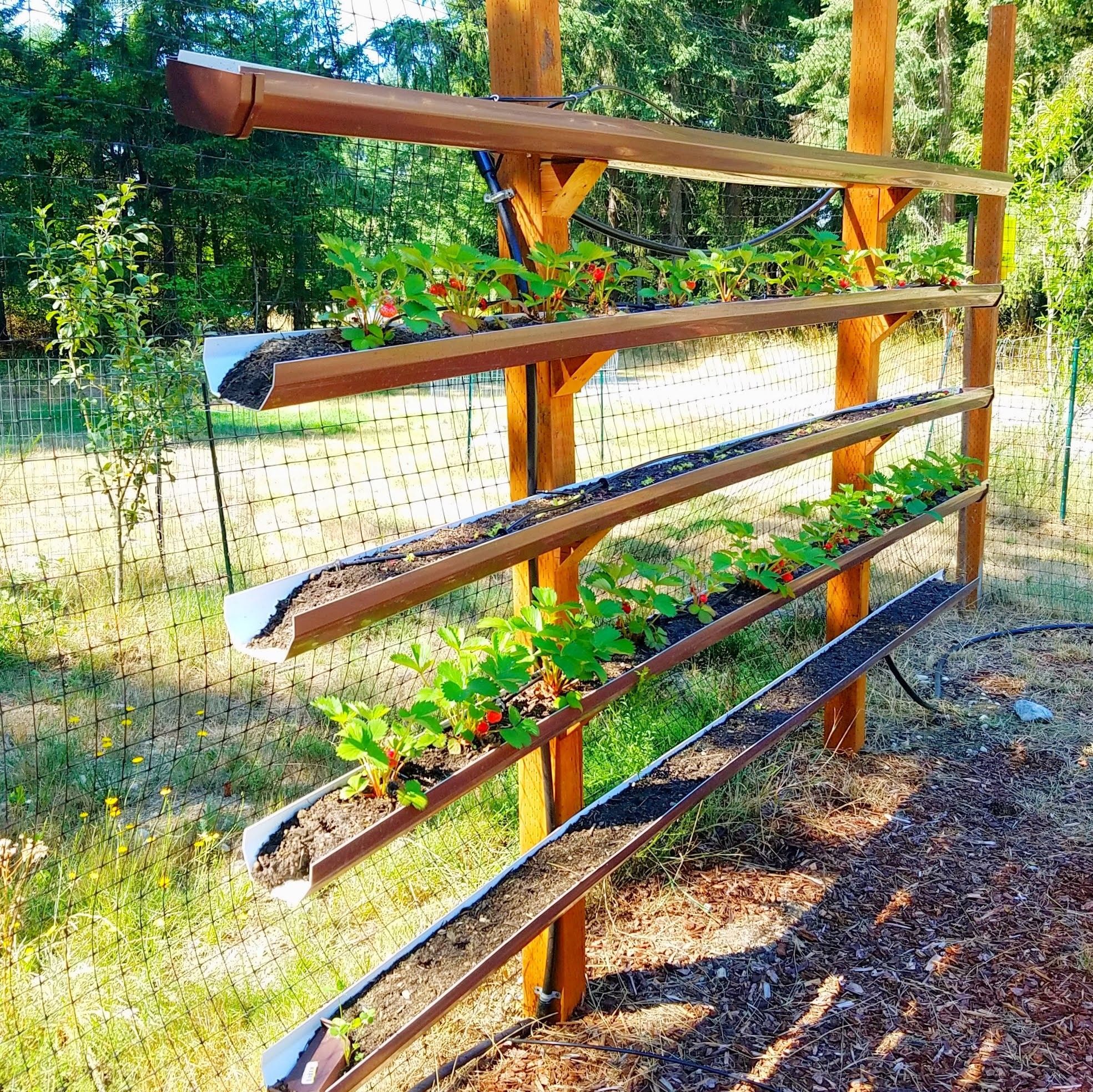 16 How to Build Gutter Garden Ideas Worth to Check | SharonSable