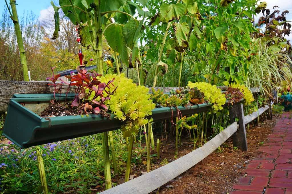 24 Fence Gutter Garden Ideas You Should Look | SharonSable