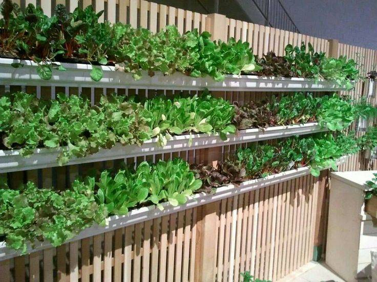 24 Fence Gutter Garden Ideas You Should Look | SharonSable