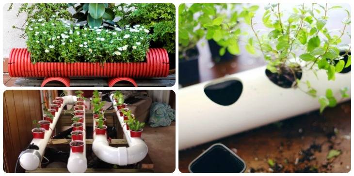 22 PVC Pipe Garden Planters Ideas Worth a Look | SharonSable