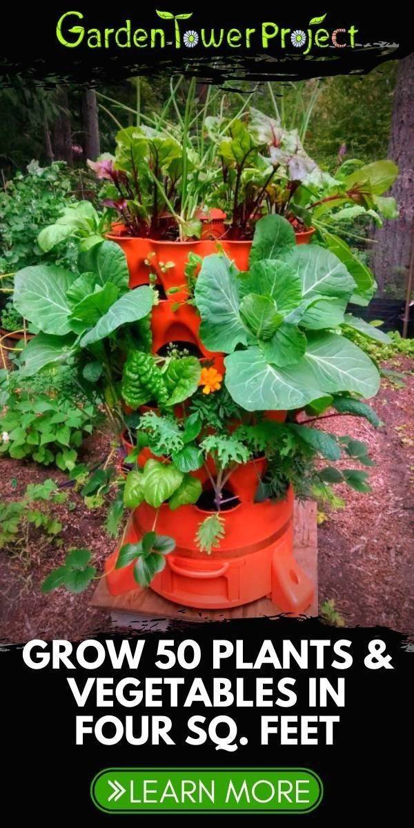 24 DIY Container Vegetable Garden Ideas You Gonna Love | SharonSable