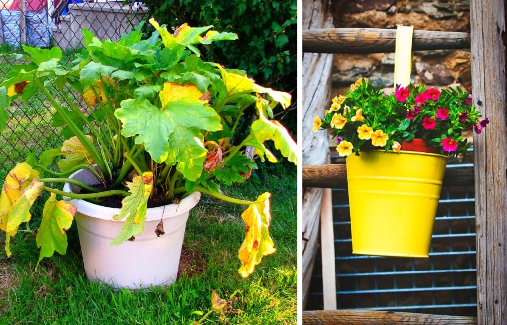 24 DIY Container Vegetable Garden Ideas You Gonna Love | SharonSable