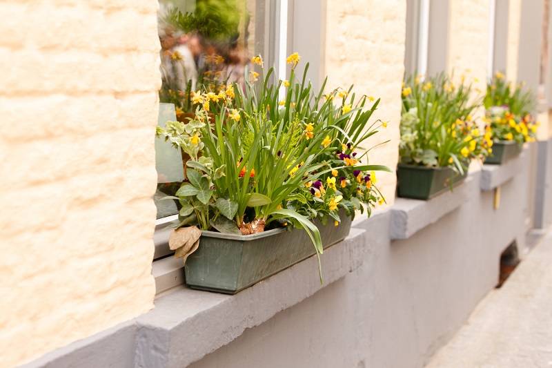 20 Window Box Vegetable Garden Ideas To Consider | SharonSable 20 Window Box Vegetable Garden Ideas To Consider | SharonSable