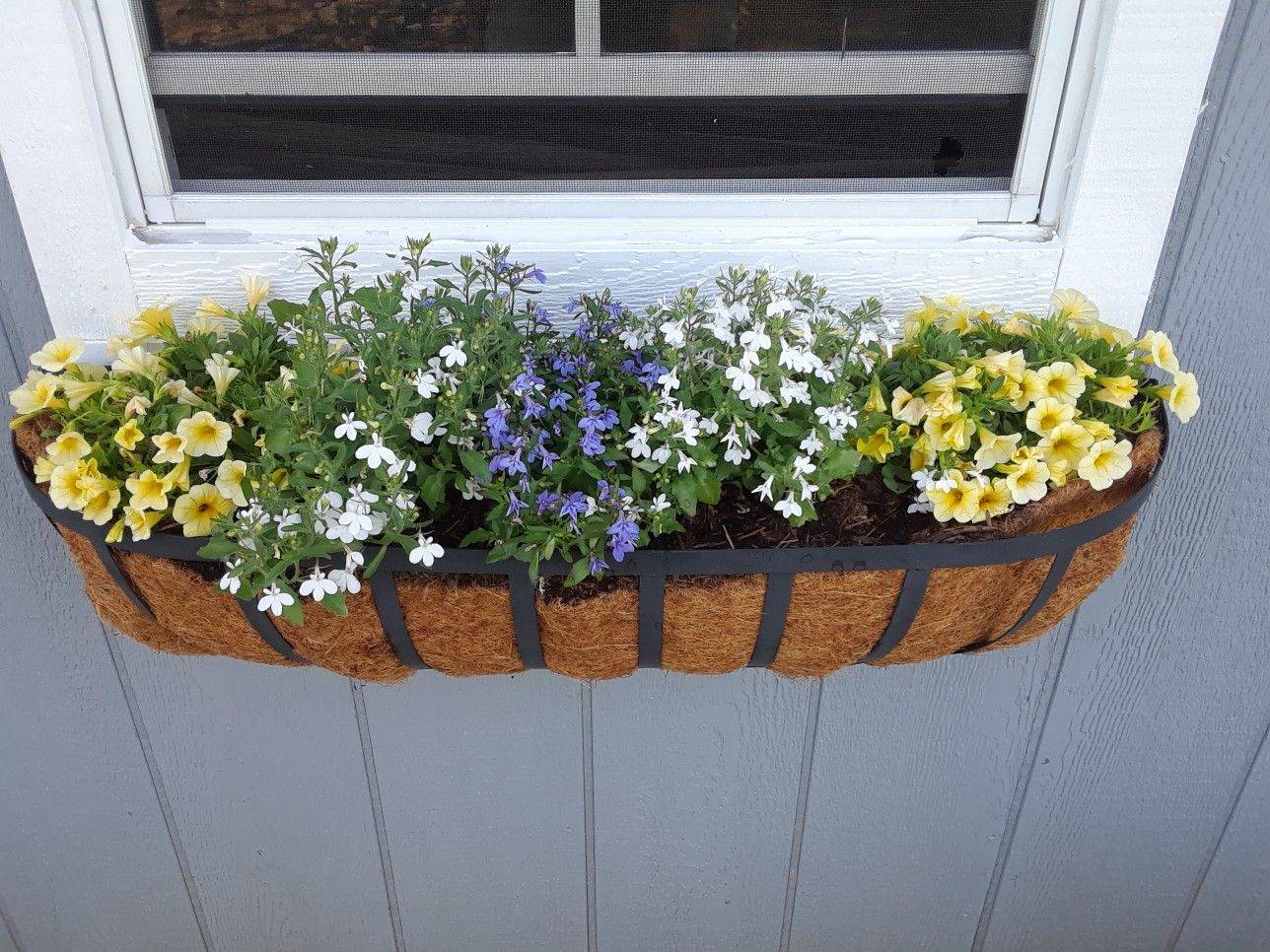 20 Window Box Vegetable Garden Ideas To Consider | SharonSable 20 Window Box Vegetable Garden Ideas To Consider | SharonSable
