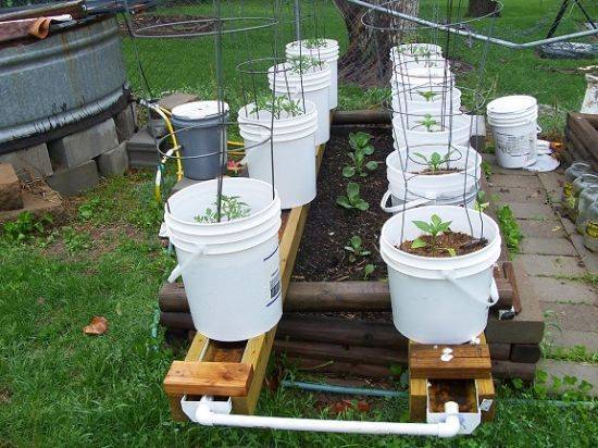 23 Rain Gutter Bucket Garden Ideas You Should Check | SharonSable