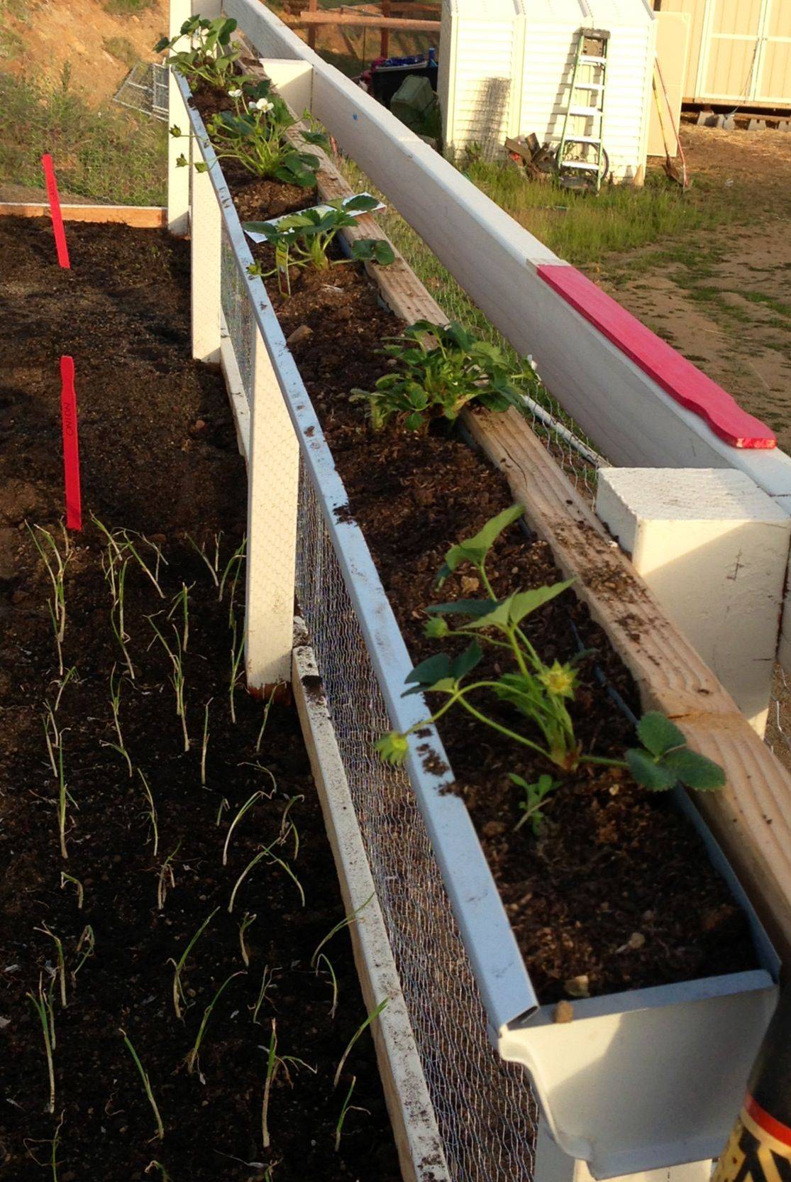 23 Rain Gutter Bucket Garden Ideas You Should Check | SharonSable