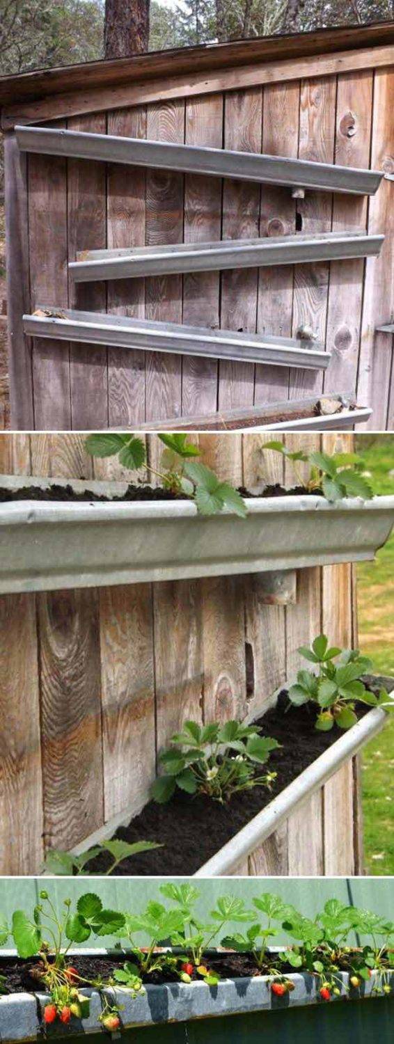 21 Gutter Garden On Wooden Fence Ideas For This Year | SharonSable