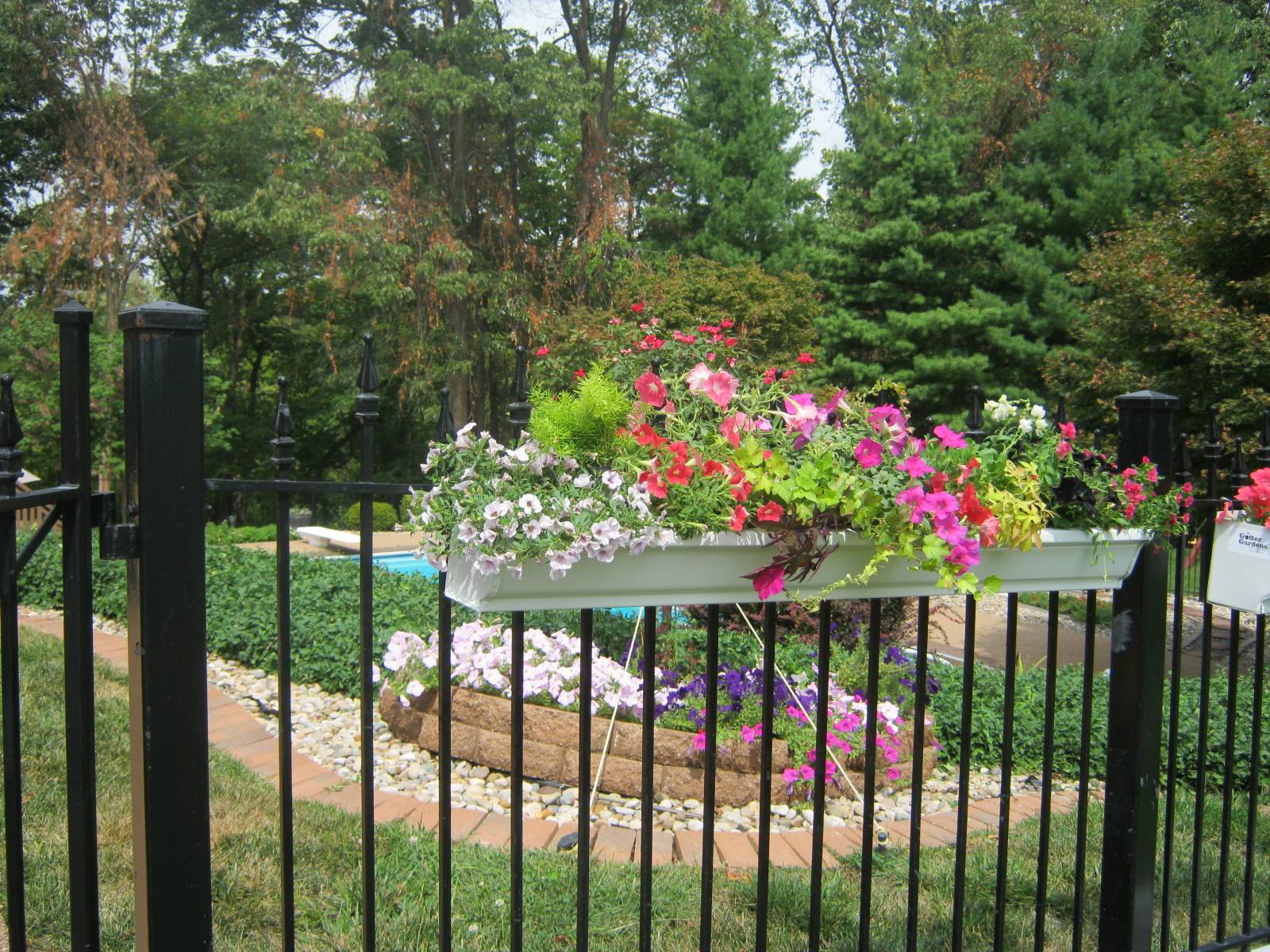 21 Gutter Garden On Wooden Fence Ideas For This Year | SharonSable