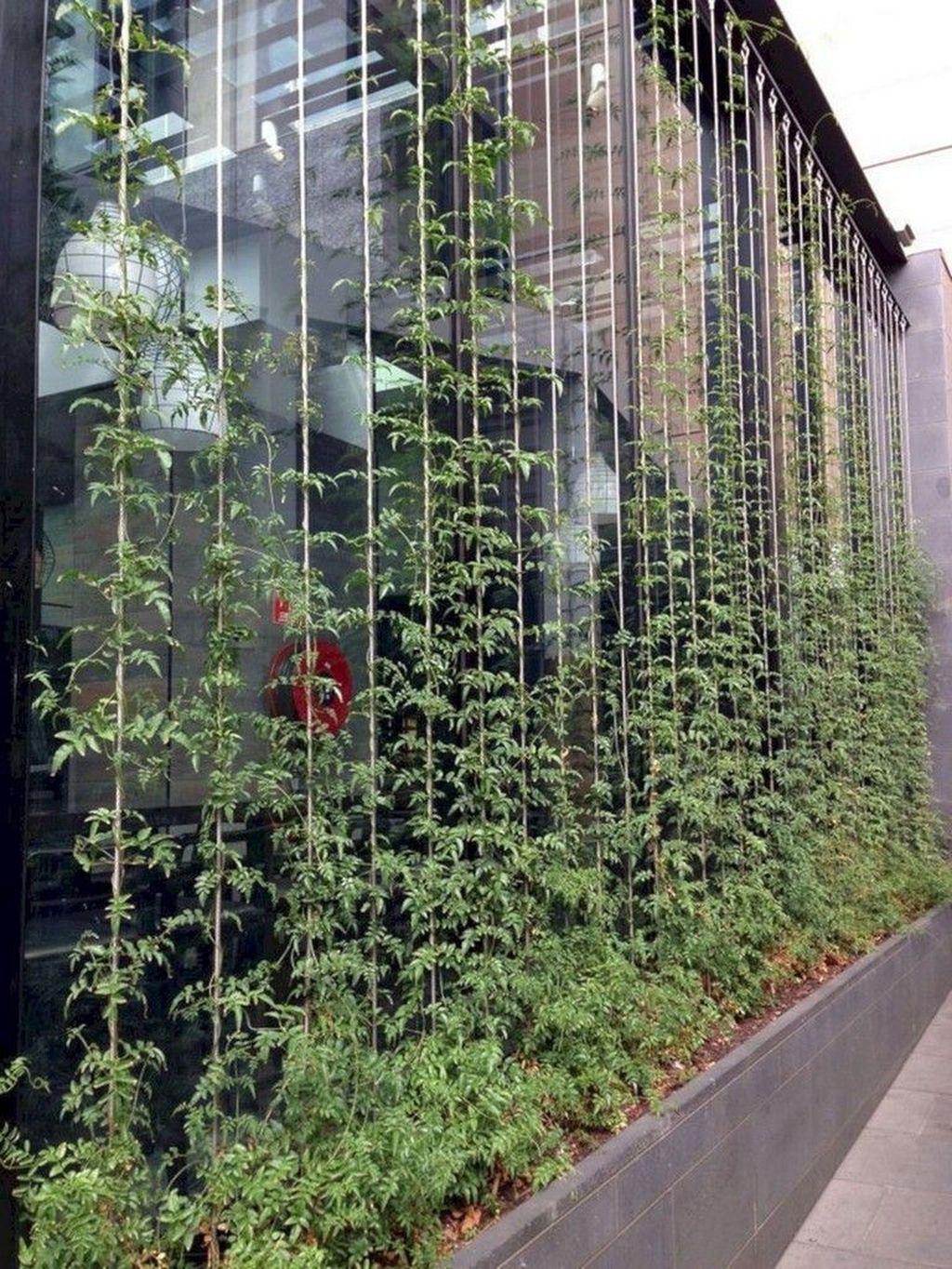 22 Vertical Garden On Fence Ideas To Try This Year | SharonSable