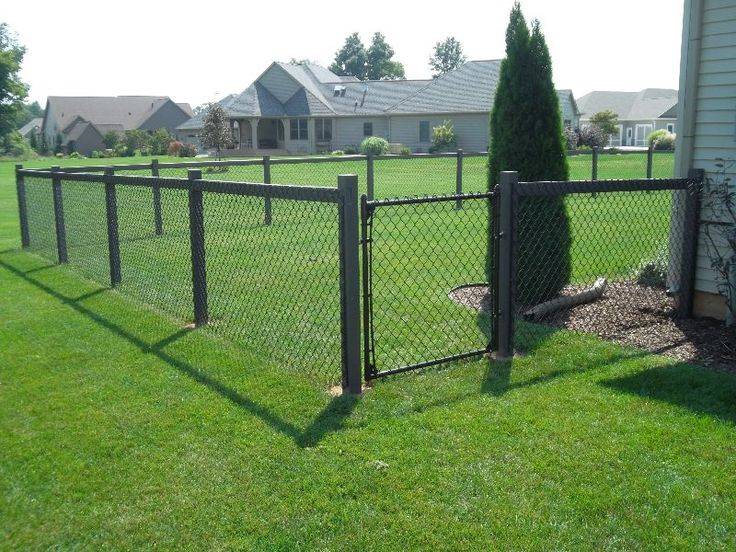 22 Chain Link Garden Fence Ideas Worth to Check | SharonSable