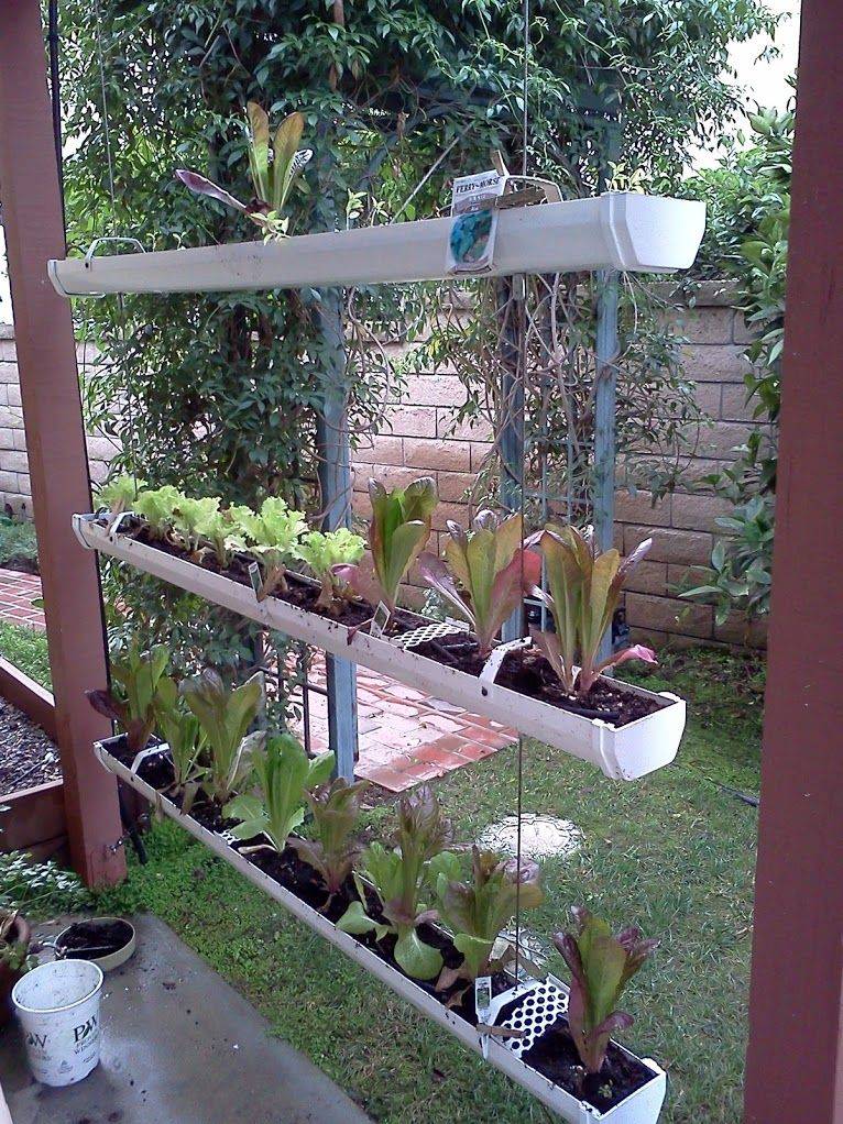 17 Rain Gutter Vertical Garden Aquaponics Ideas You Must Look | SharonSable