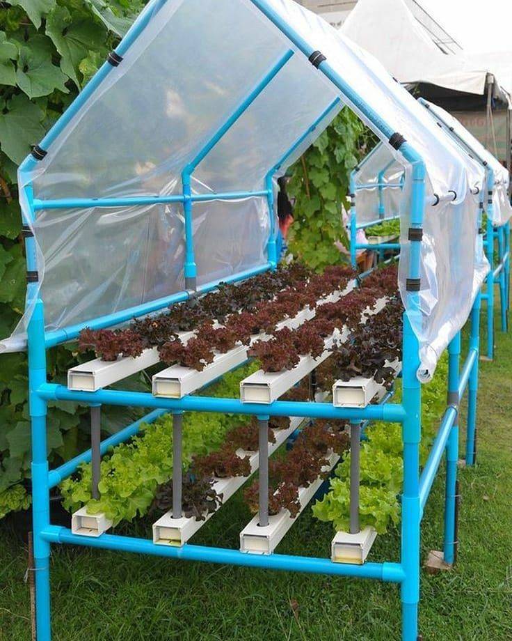 17 Rain Gutter Vertical Garden Aquaponics Ideas You Must Look | SharonSable