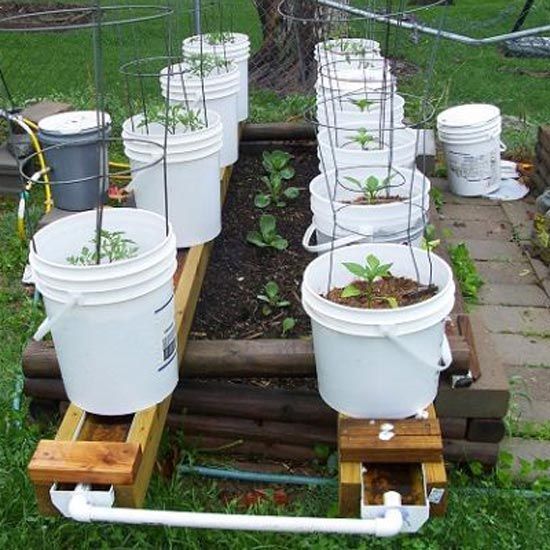 19 Greenhouse Rain Gutter Garden Ideas Worth a Look | SharonSable