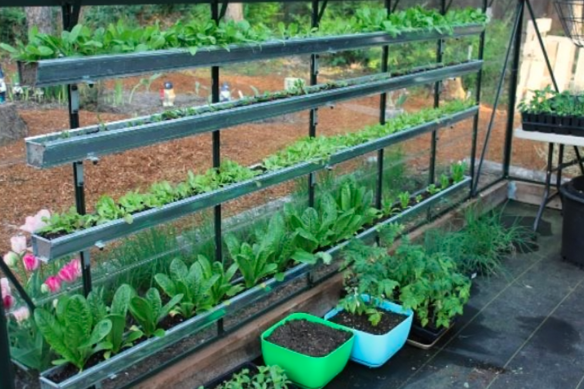 19 Greenhouse Rain Gutter Garden Ideas Worth a Look | SharonSable