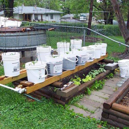 19 Gutter Bucket Gardening Ideas To Try This Year | SharonSable