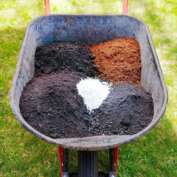 24 Garden Soil Ideas For This Year | SharonSable
