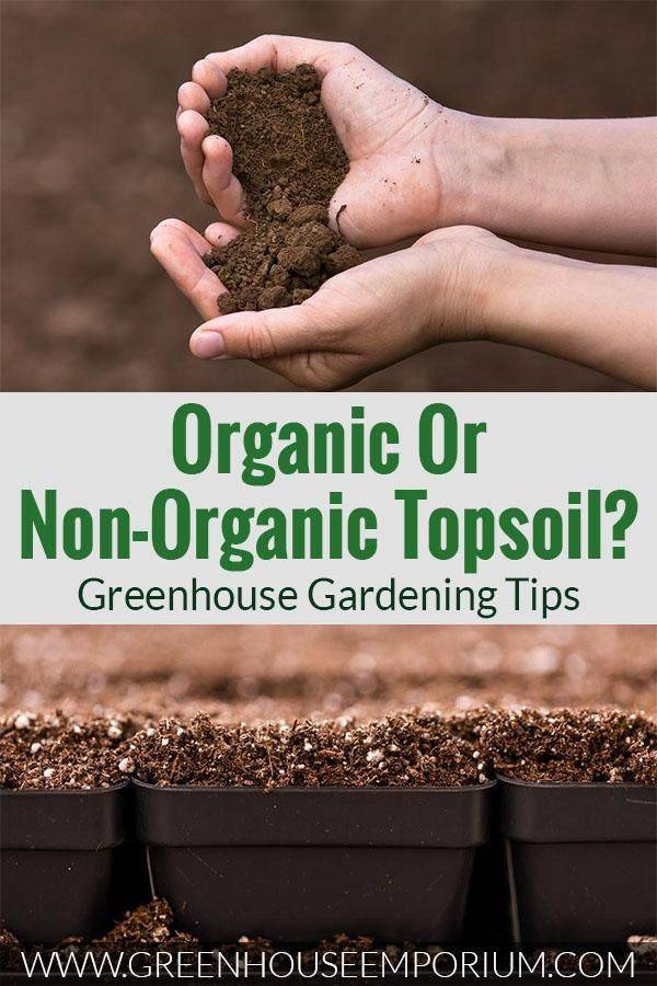 24 Gardening Soil Ideas You Cannot Miss | SharonSable