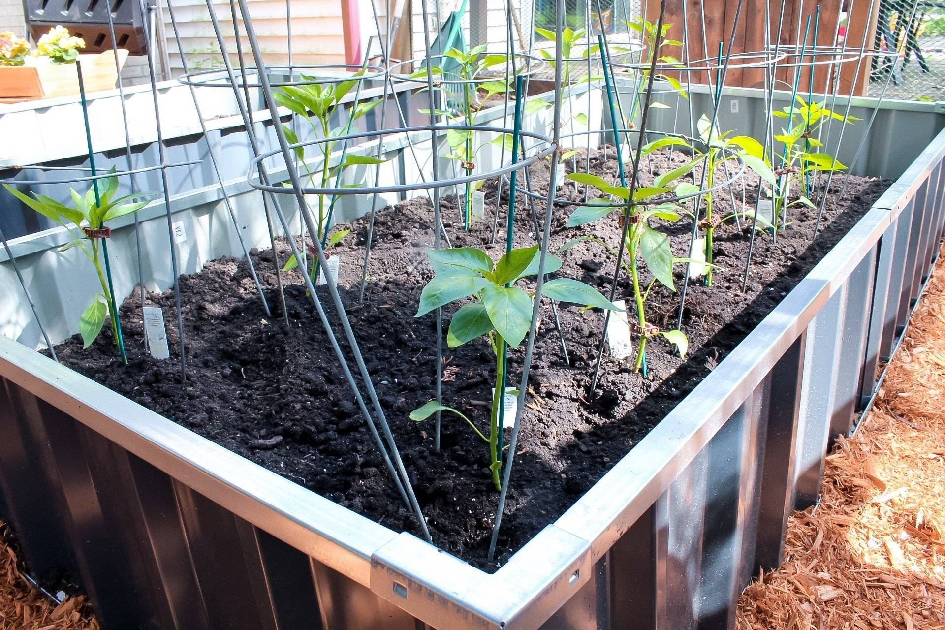 24 Gardening Soil Ideas You Cannot Miss | SharonSable