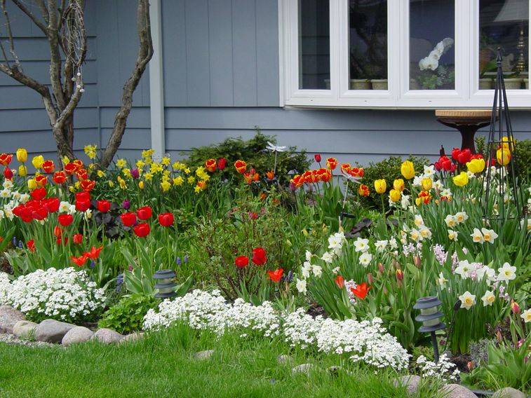 19 Bulb Garden Design Ideas To Try This Year | SharonSable