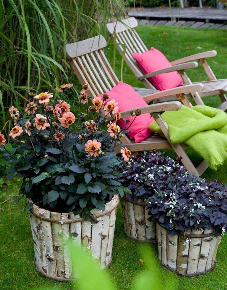 19 Summer Bulb Garden Ideas You Should Look | SharonSable