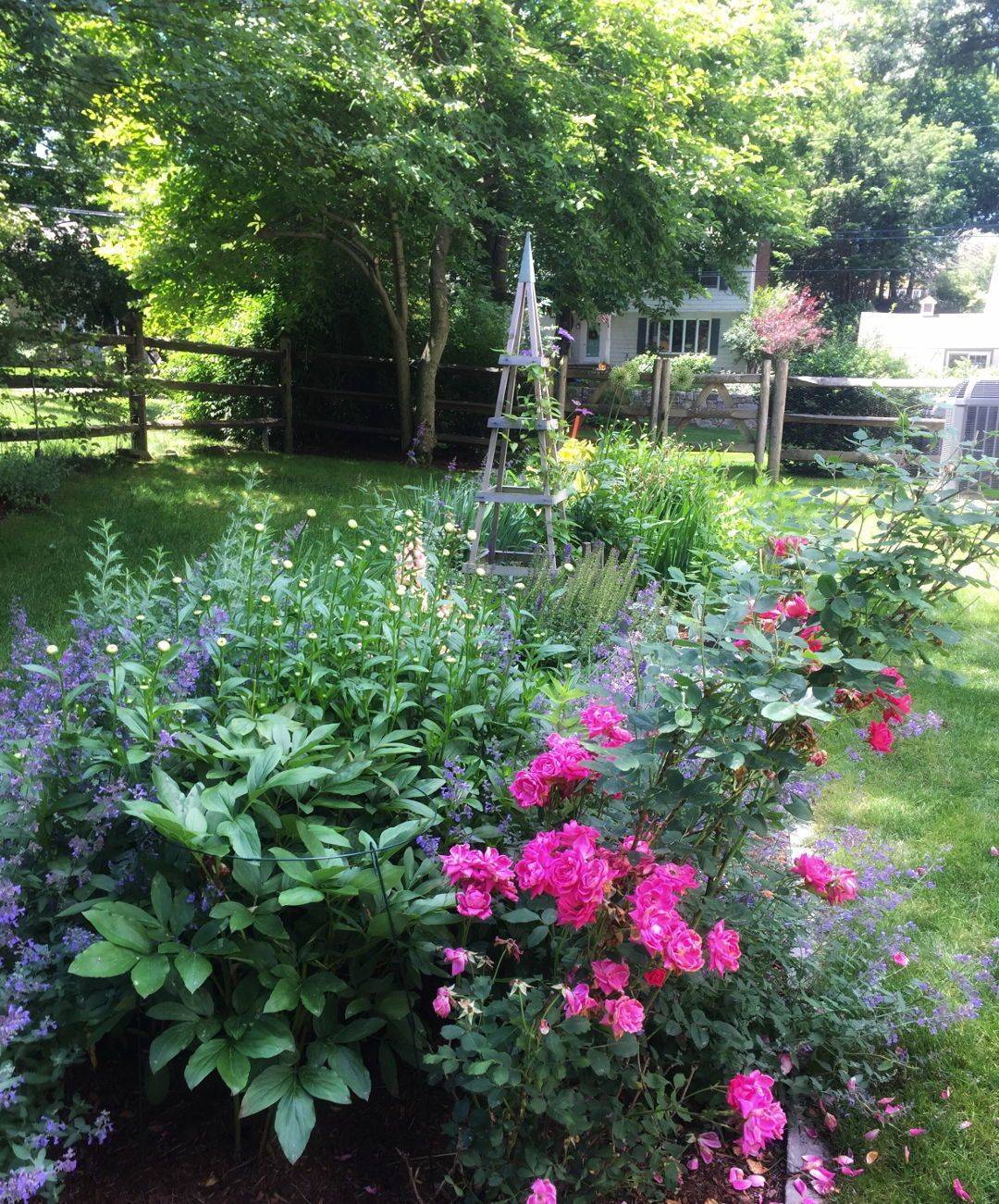 19 Summer Bulb Garden Ideas You Should Look | SharonSable