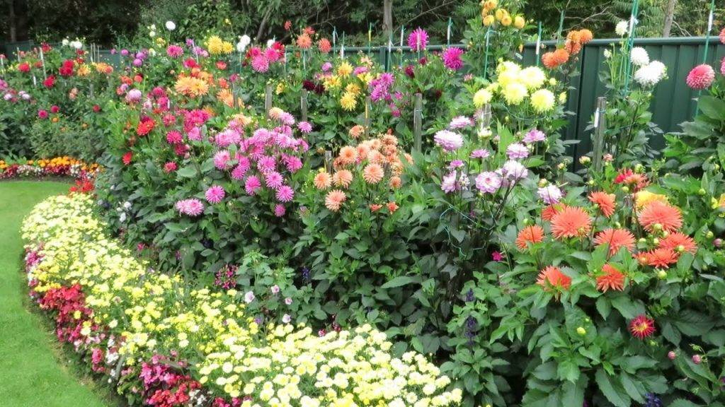19 Summer Bulb Garden Ideas You Should Look | SharonSable