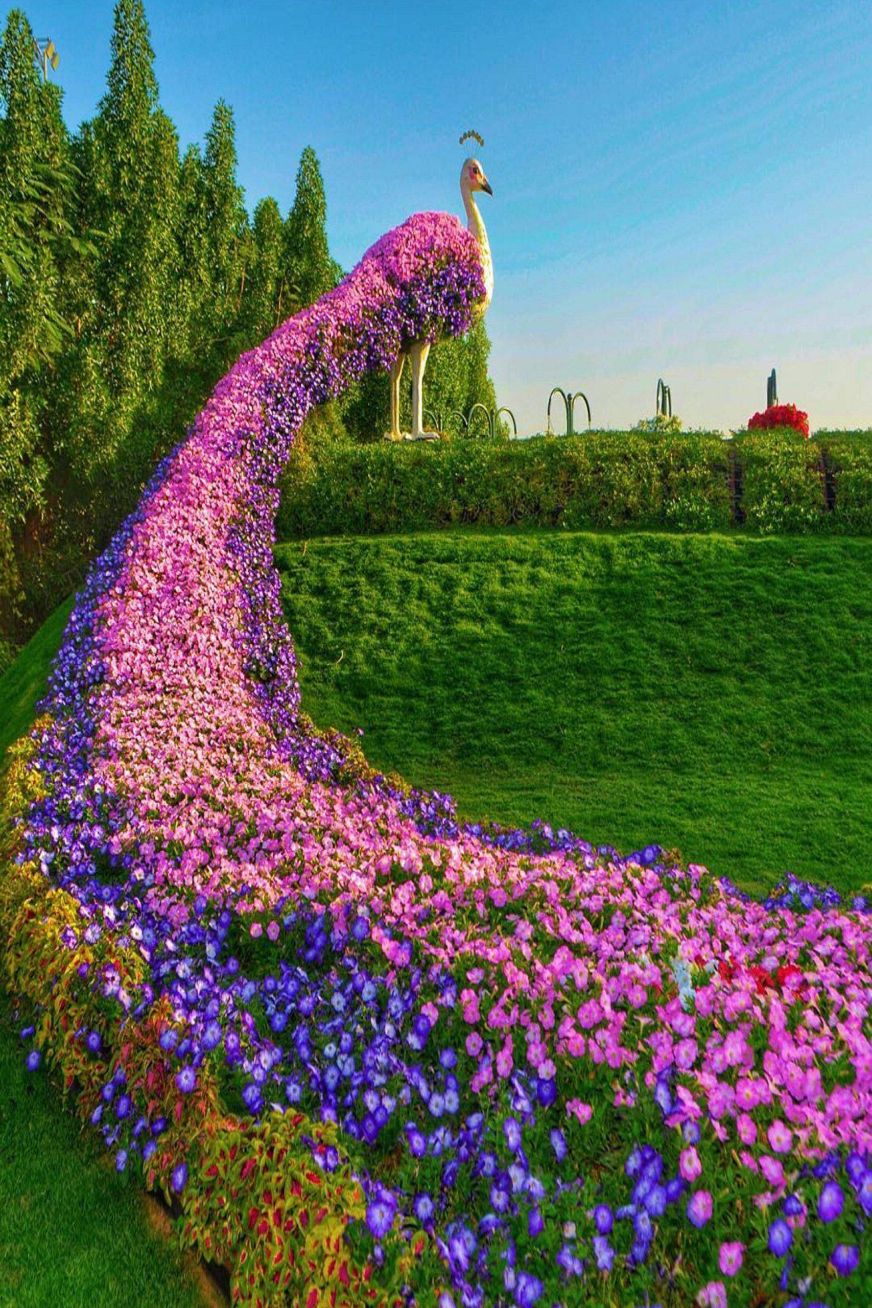 21 Butterfly Garden Layout Ideas To Consider | SharonSable