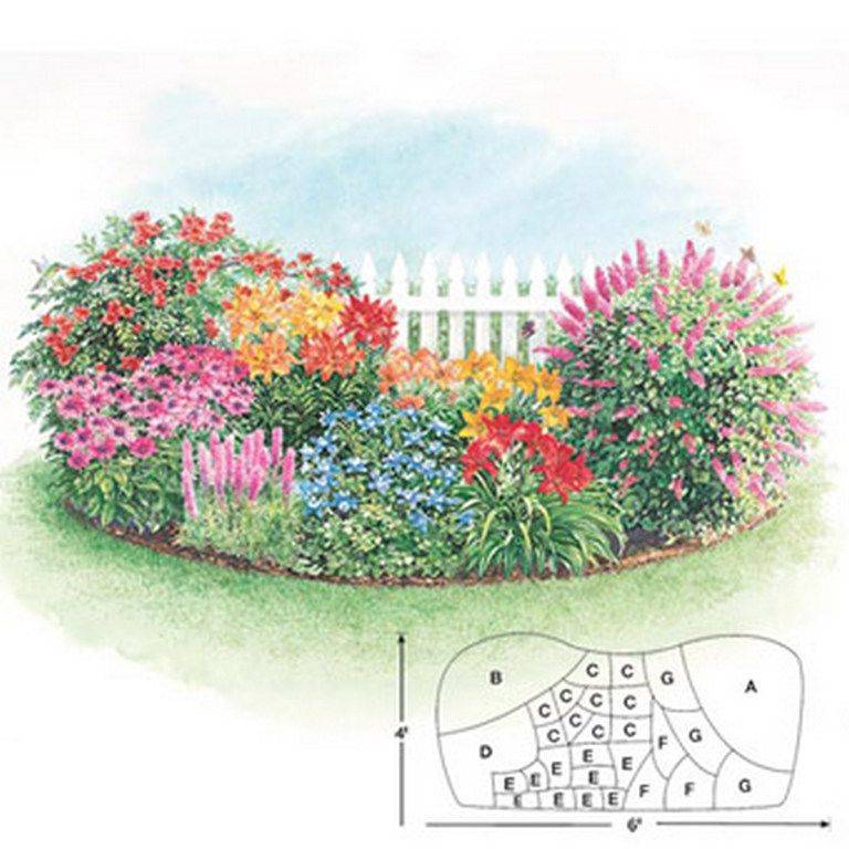 21 Butterfly Garden Layout Ideas To Consider | SharonSable