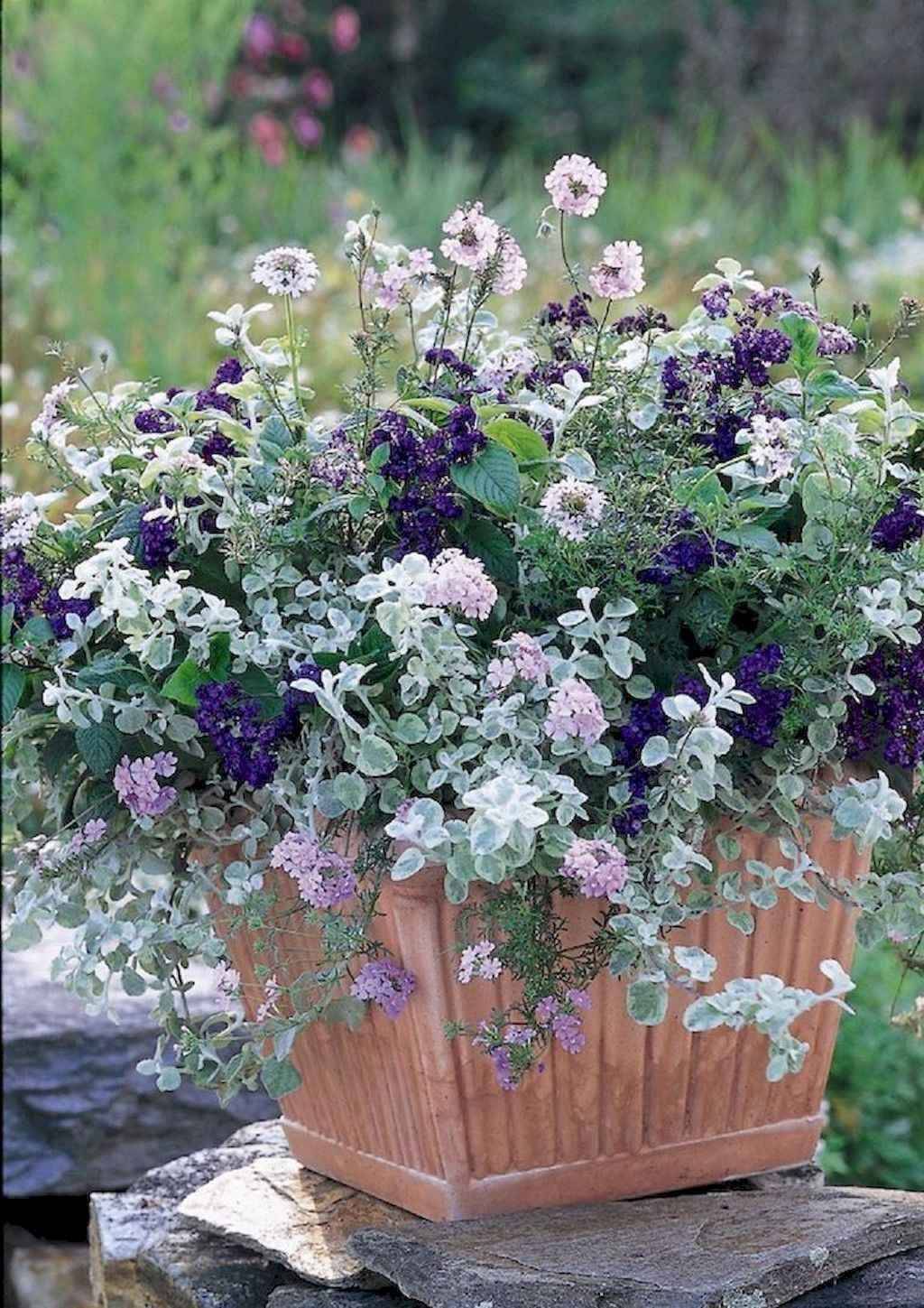 24 Pretty Container Garden Ideas Worth a Look | SharonSable