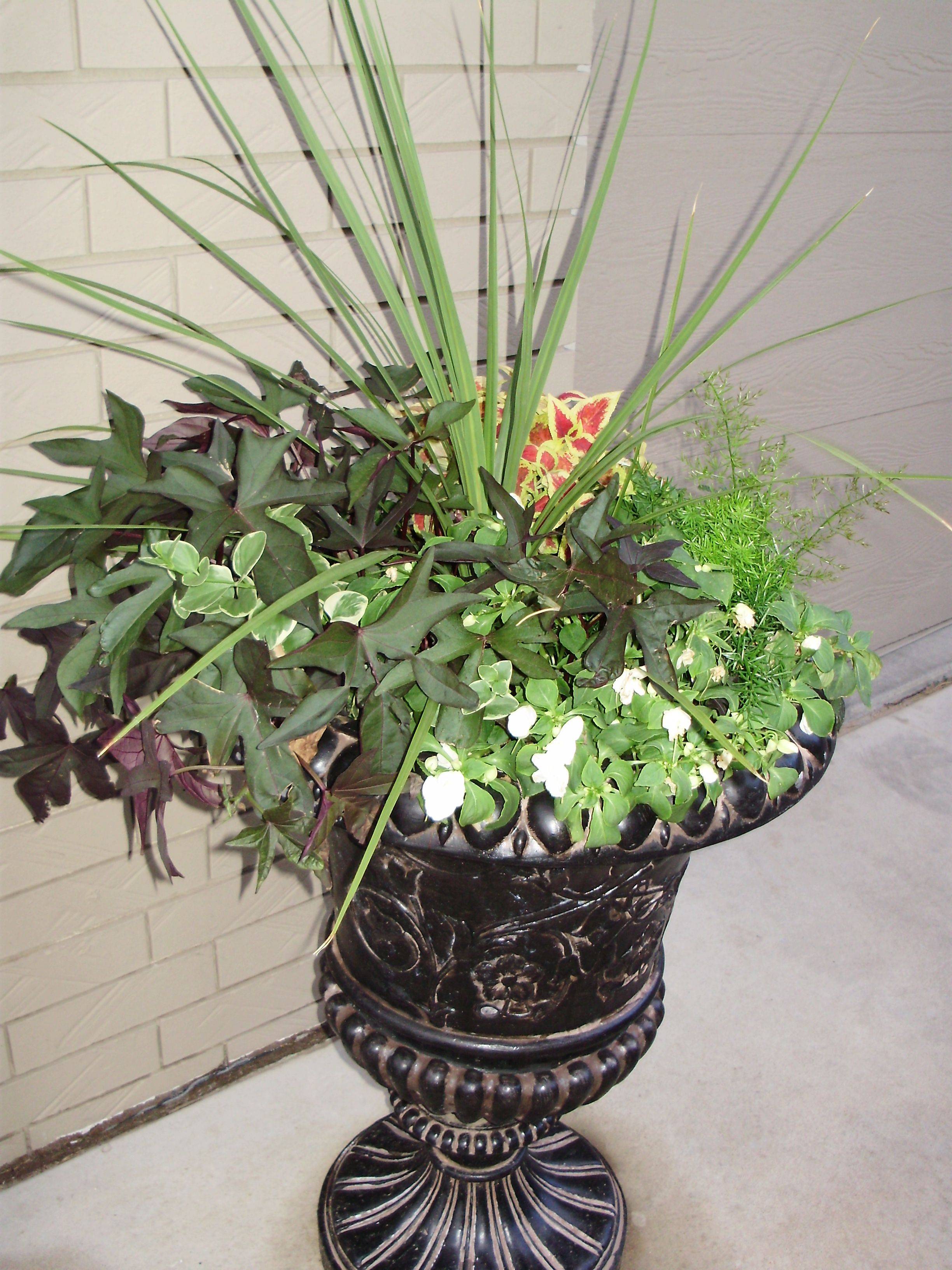 24 Urn Container Garden Ideas You Should Look | SharonSable