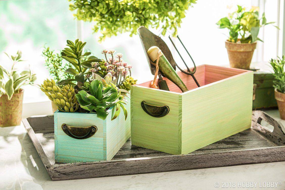 24 Gardening Hobby Ideas You Should Check | SharonSable