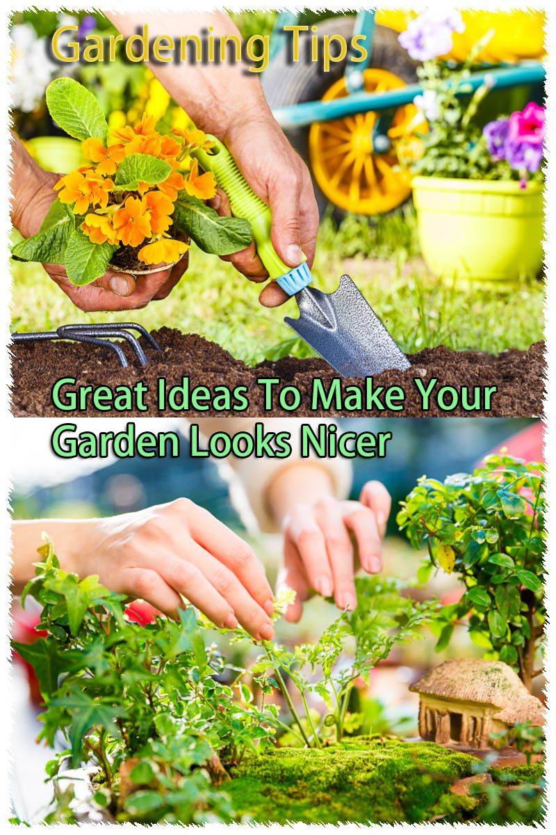 24 Gardening Hobby Ideas You Should Check | SharonSable