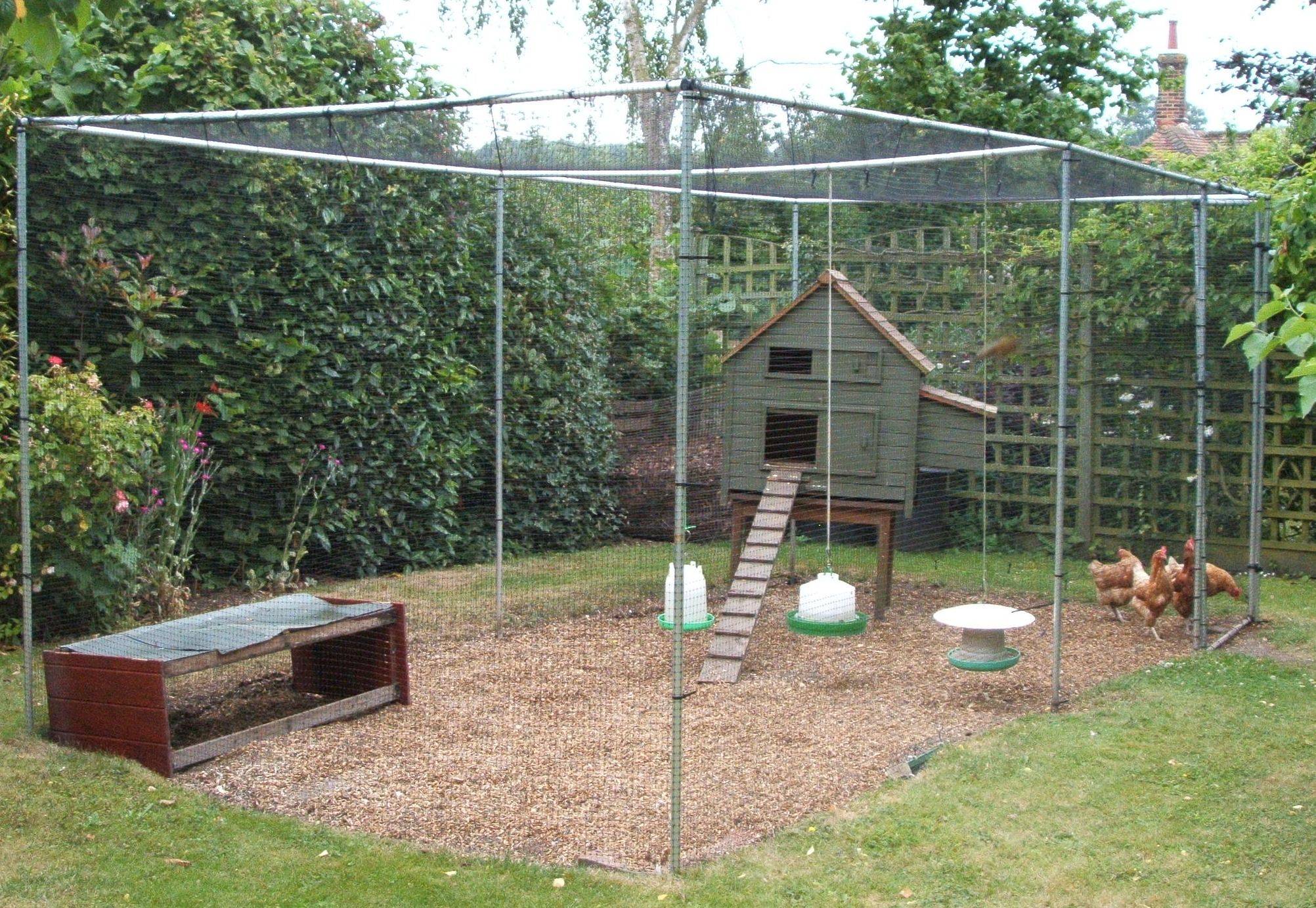 20 Chicken Wire Garden Enclosure Ideas Worth to Check | SharonSable
