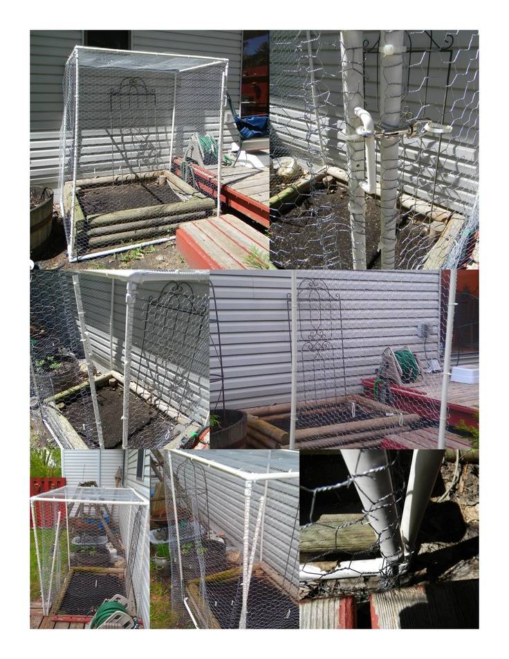 20 Chicken Wire Garden Enclosure Ideas Worth to Check | SharonSable
