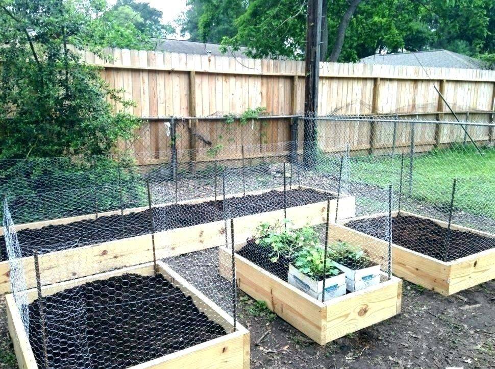 20 Chicken Wire Garden Enclosure Ideas Worth to Check | SharonSable