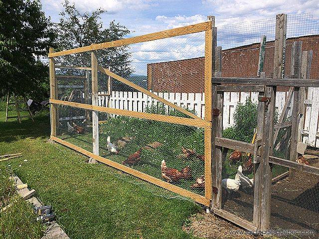 20 Chicken Wire Garden Enclosure Ideas Worth to Check | SharonSable