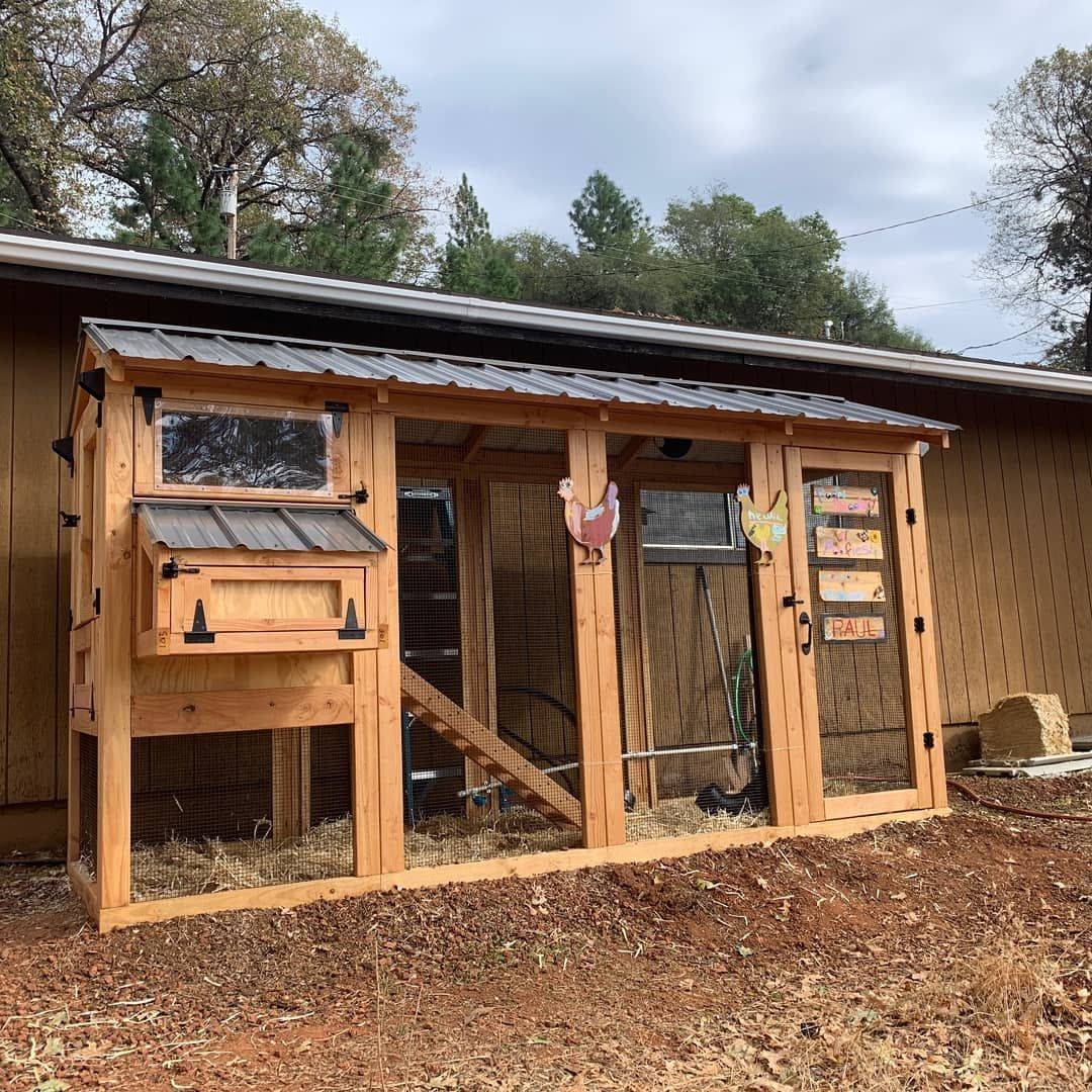 20 Chicken Wire Garden Enclosure Ideas Worth to Check | SharonSable