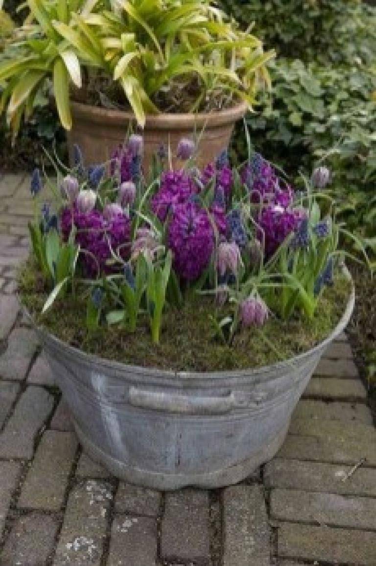 23 Spring Bulb Garden Plans Ideas You Should Check | SharonSable