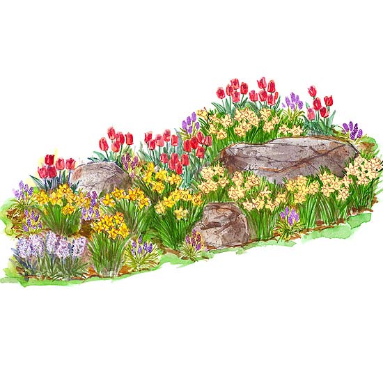 23 Spring Bulb Garden Plans Ideas You Should Check | SharonSable