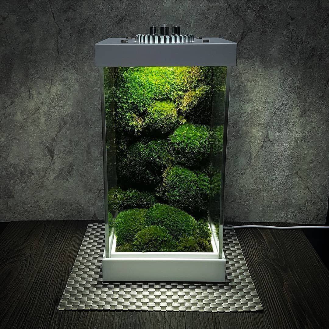 20 Nano Garden Ideas You Cannot Miss | SharonSable