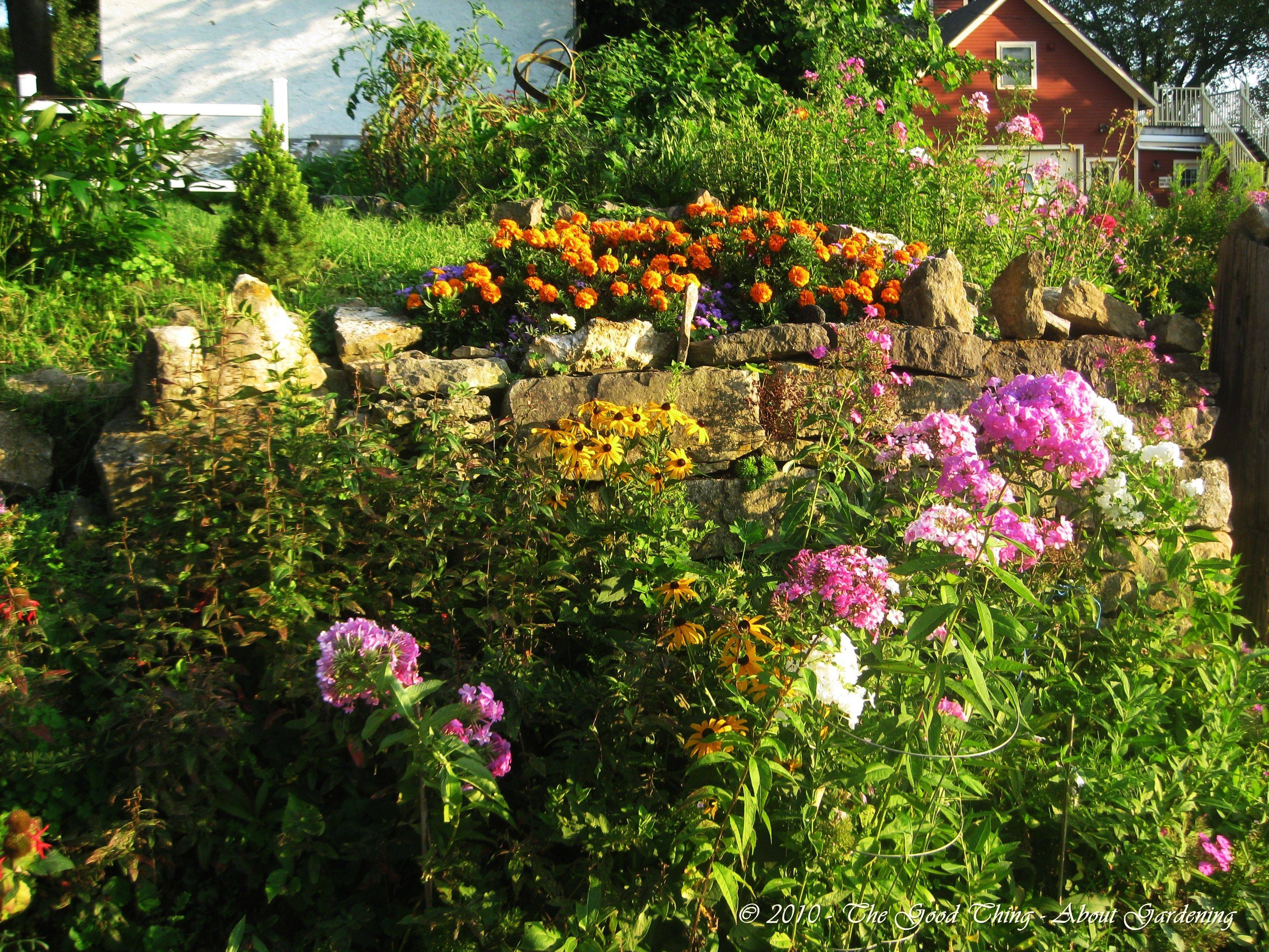 16 Colorful Summer Flower Garden Ideas Worth a Look | SharonSable