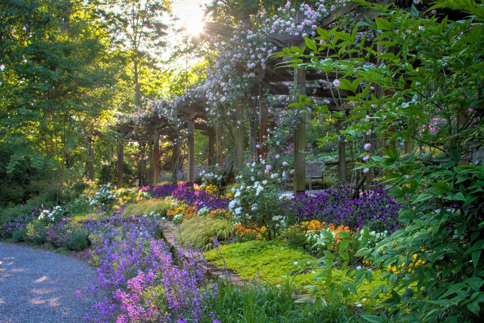 22 Flower Garden in the World Ideas You Should Look | SharonSable