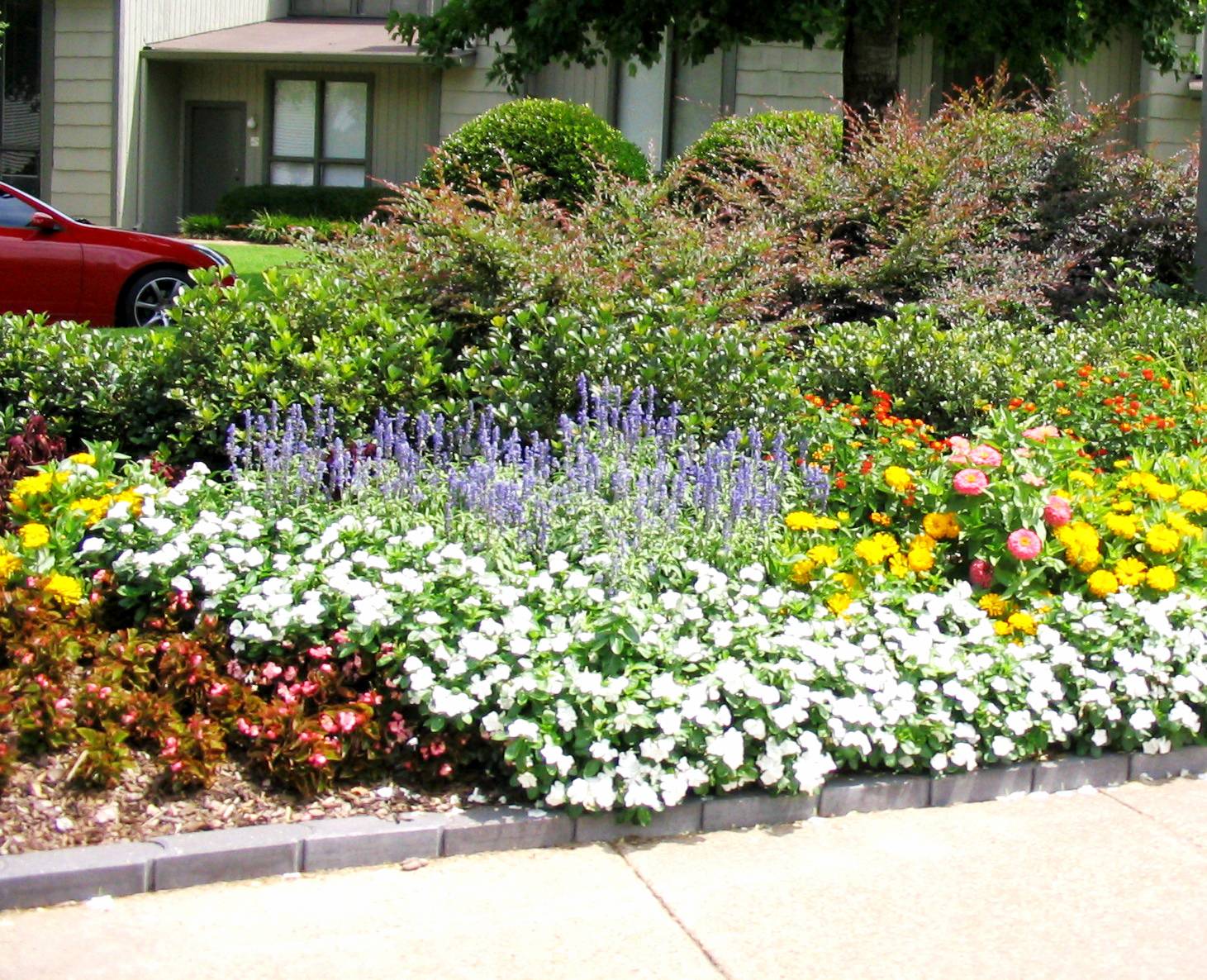 22 Worlds Largest Flower Garden Ideas You Must Look | SharonSable